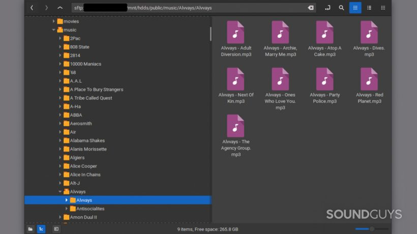 How to build a local digital music library - SoundGuys