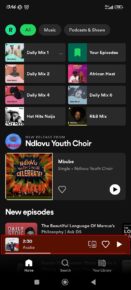 How to see your Spotify queue - SoundGuys