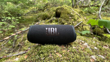 JBL Charge 5 vs JBL Flip 6 - SoundGuys