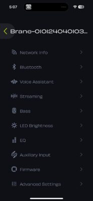 Brane X review - SoundGuys