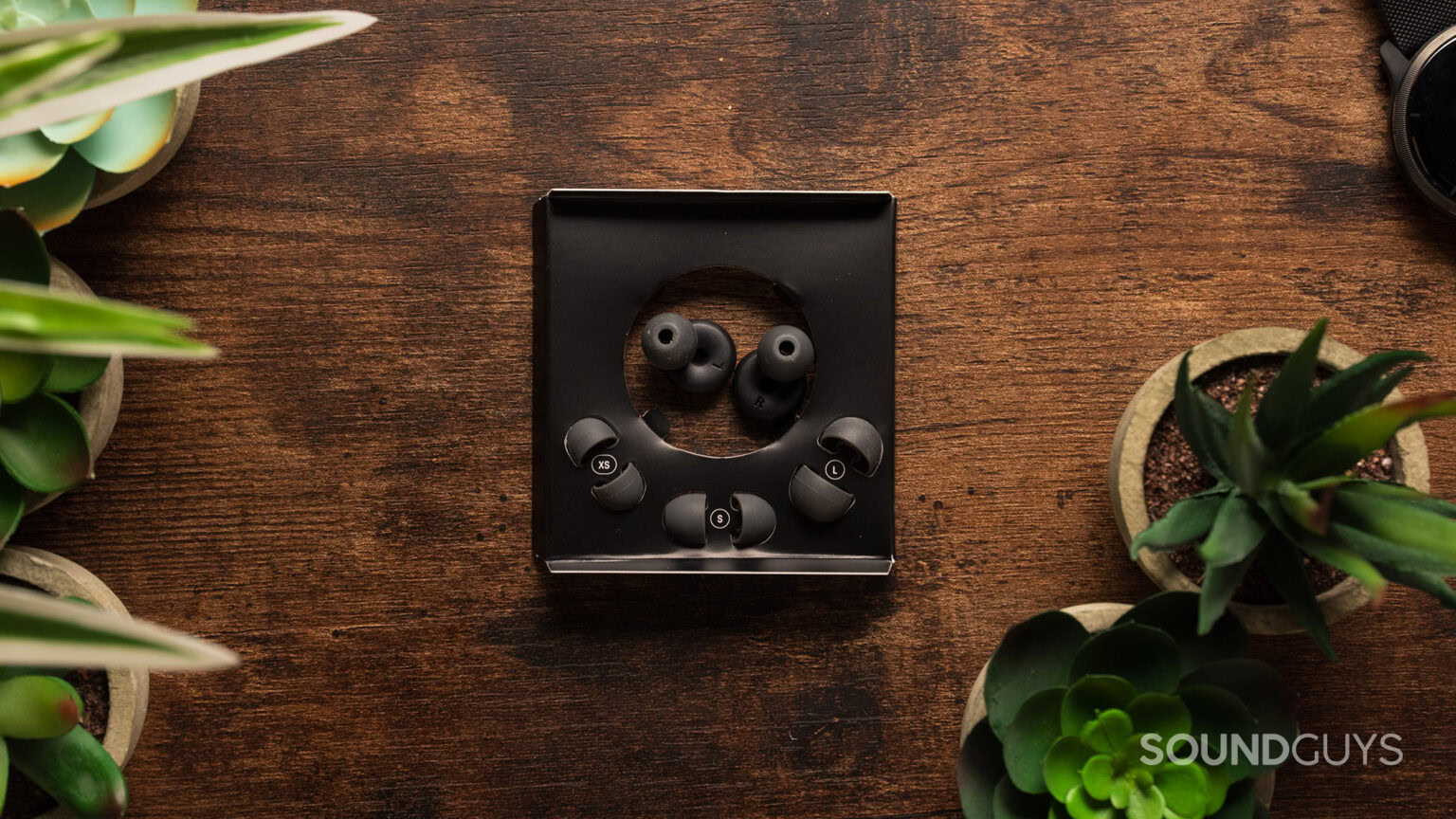 Loop Switch earplugs review - SoundGuys