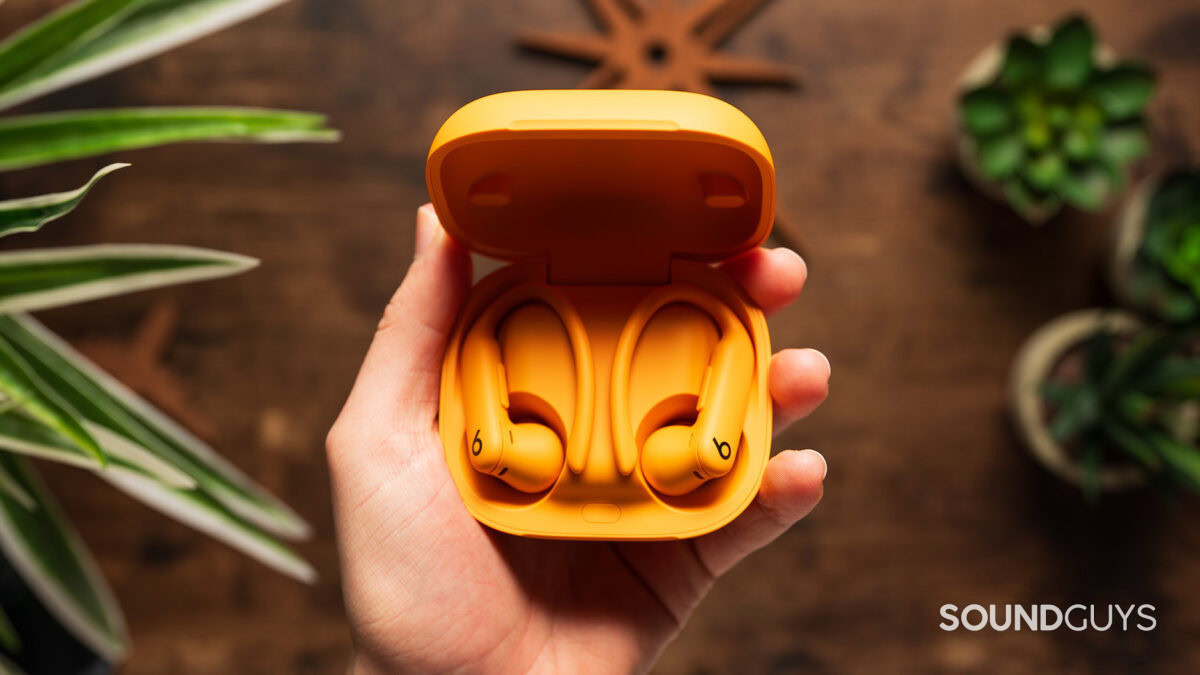 Powerbeats Pro 2 vs Beats Fit Pro: Which workout earbuds win? - SoundGuys